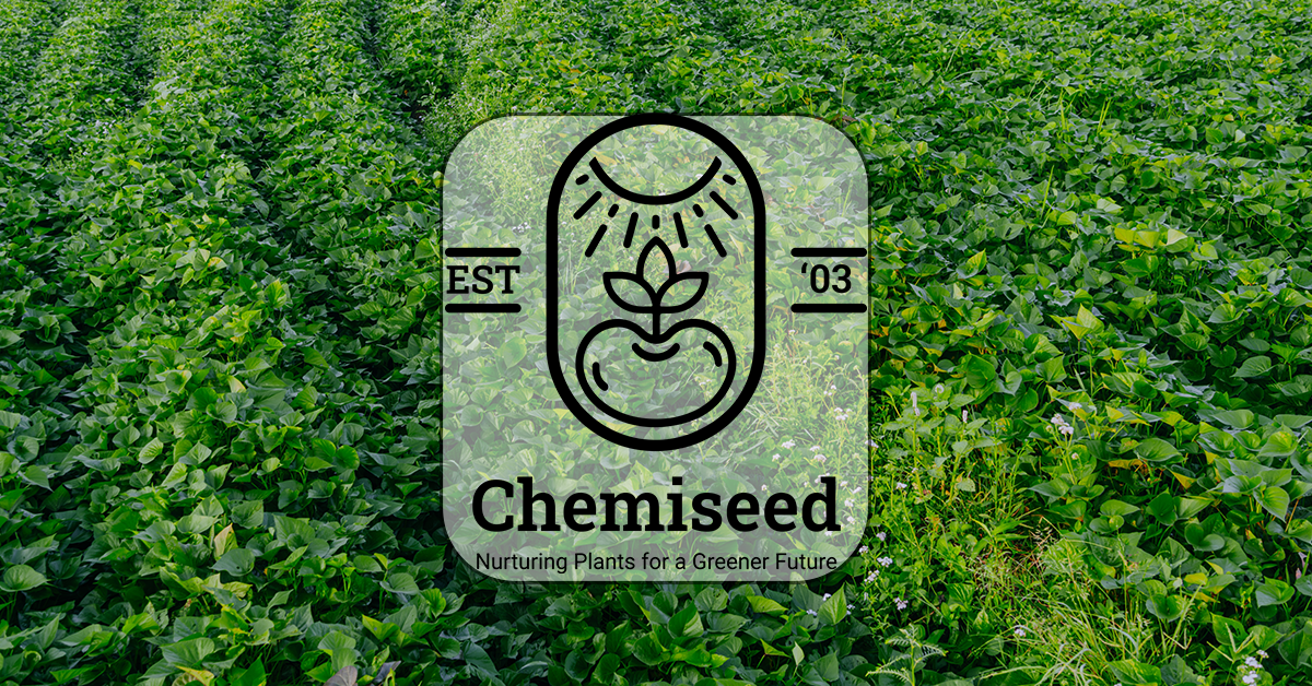 Organic vs Chemical Fertilizers: What Science Really Says – Chemiseed ...